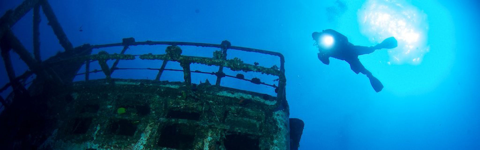 Island Divers Hawaii | Oahu's Friendliest Dive Center