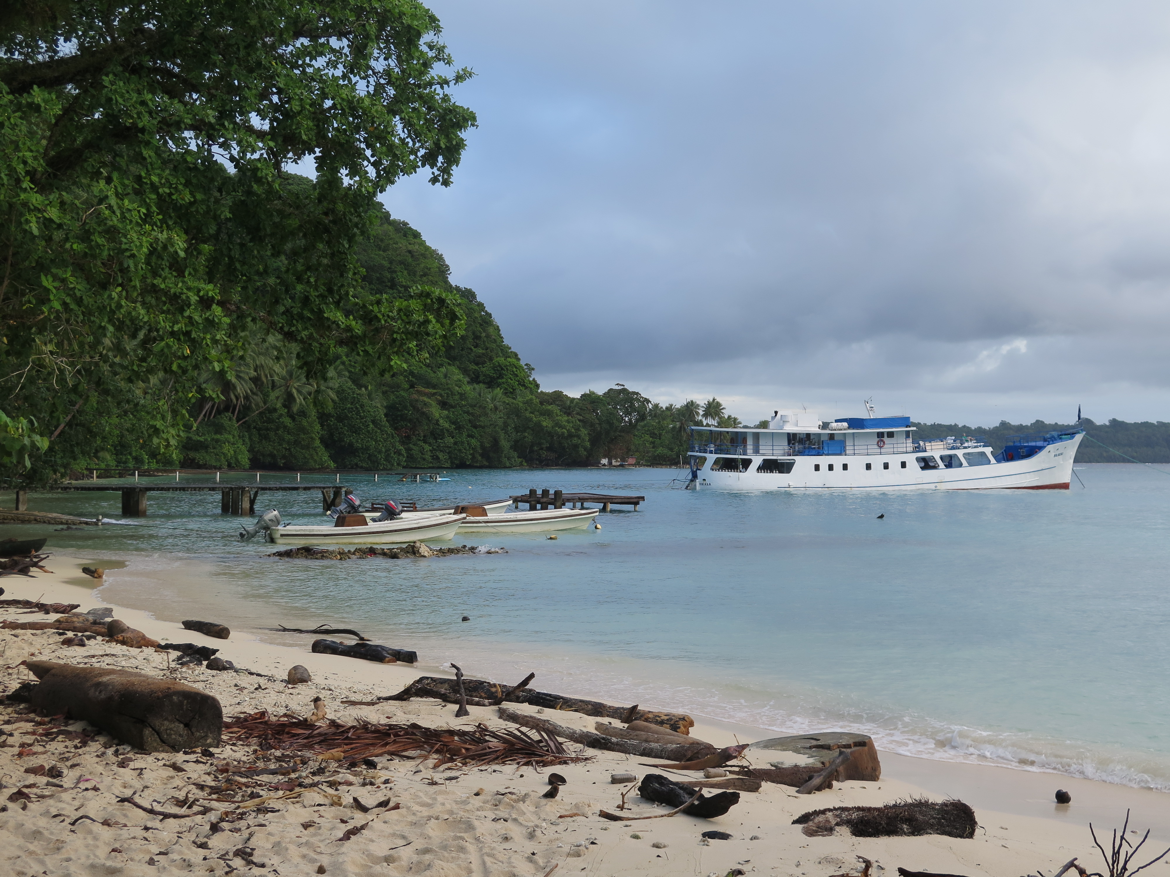 Soloman Island Liveaboard Dive Trip March 16-26th 2028 - Island Divers ...